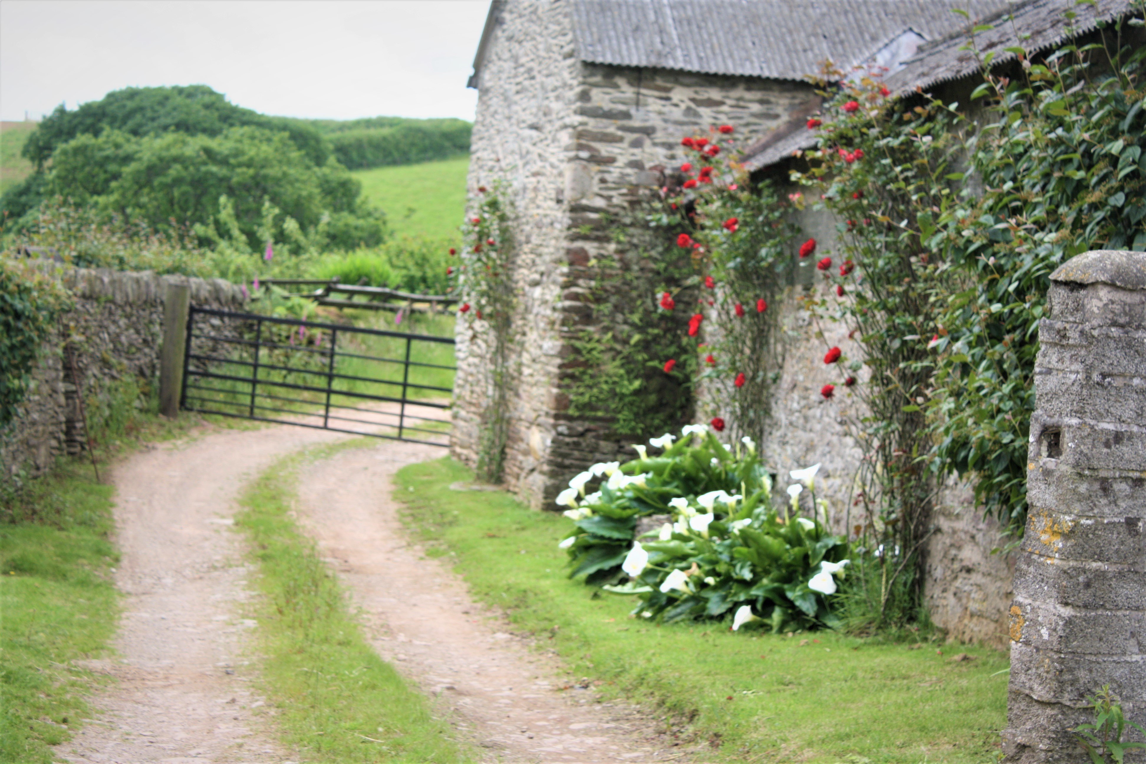 Upcott Farm House in Winsford, Somerset | Cottages & Lodges